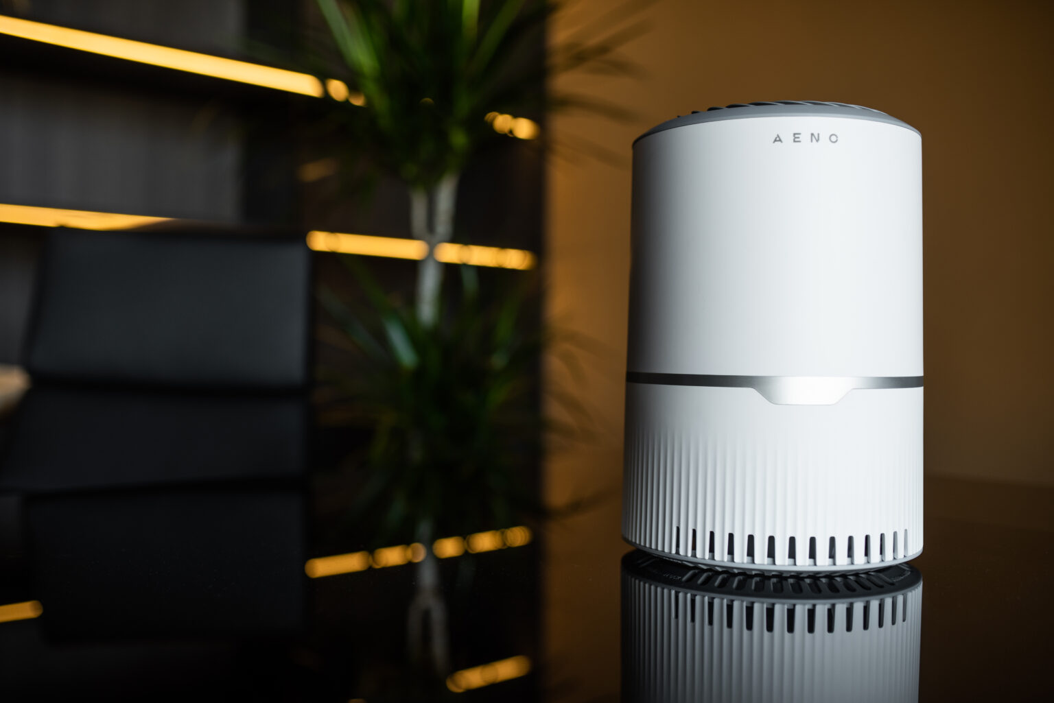 How does an air ionizer work - air ionizer working principle – AENO Blog