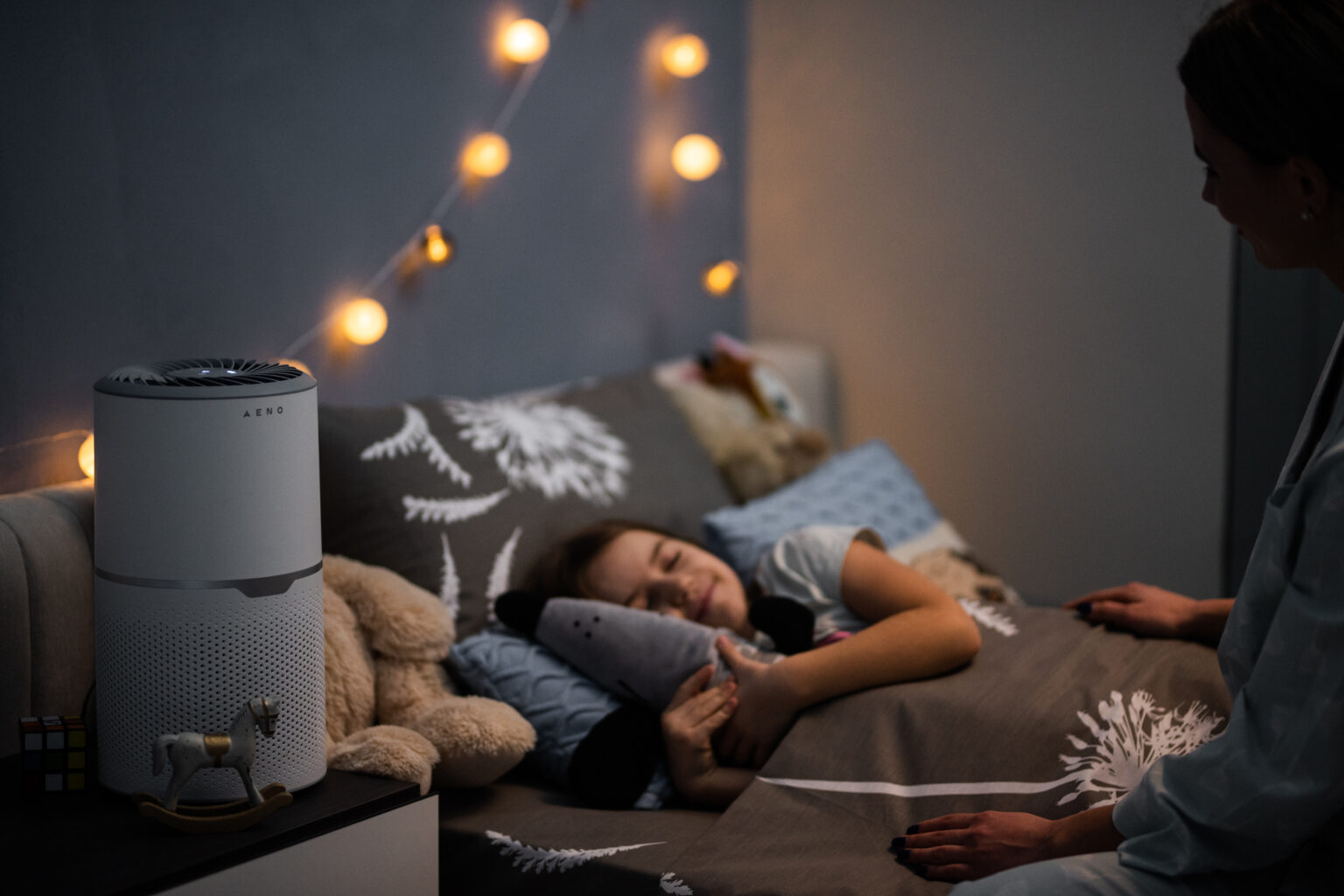 How does an air ionizer work - air ionizer working principle – AENO Blog