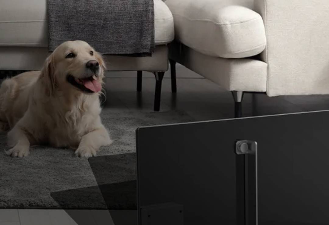 AENO Heaters: Cozy Comfort for Our Furry Friends – AENO Blog