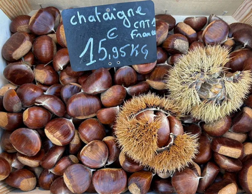 French Food ― Top 10 French Dishes – AENO Blog